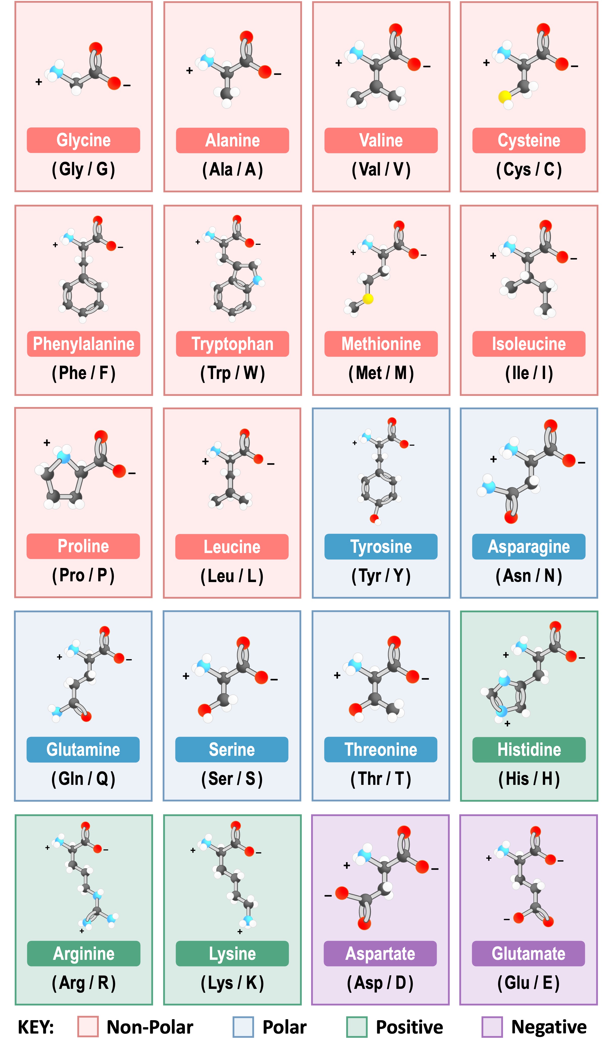Variable Groups 4794